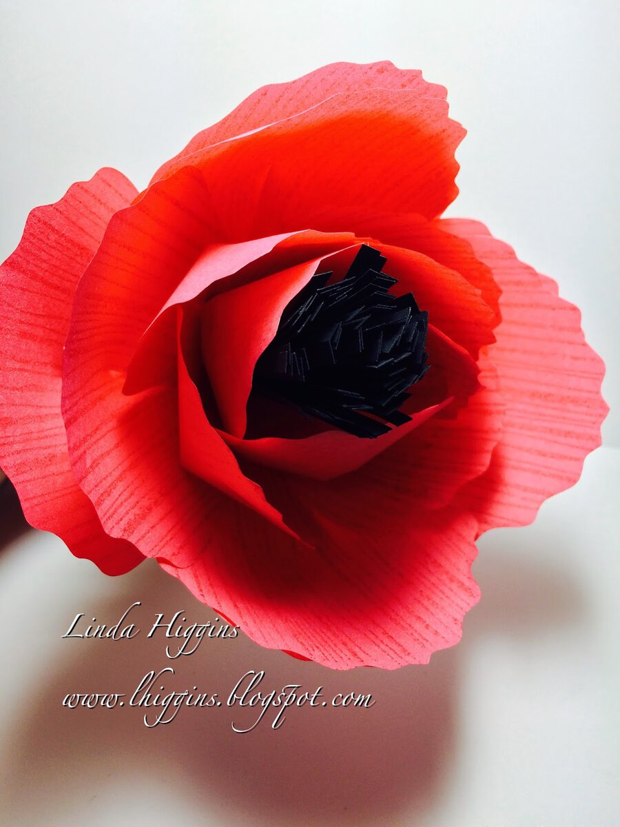 ANZAC day commemoration and poppies from our Build-A-Bouquet kit!